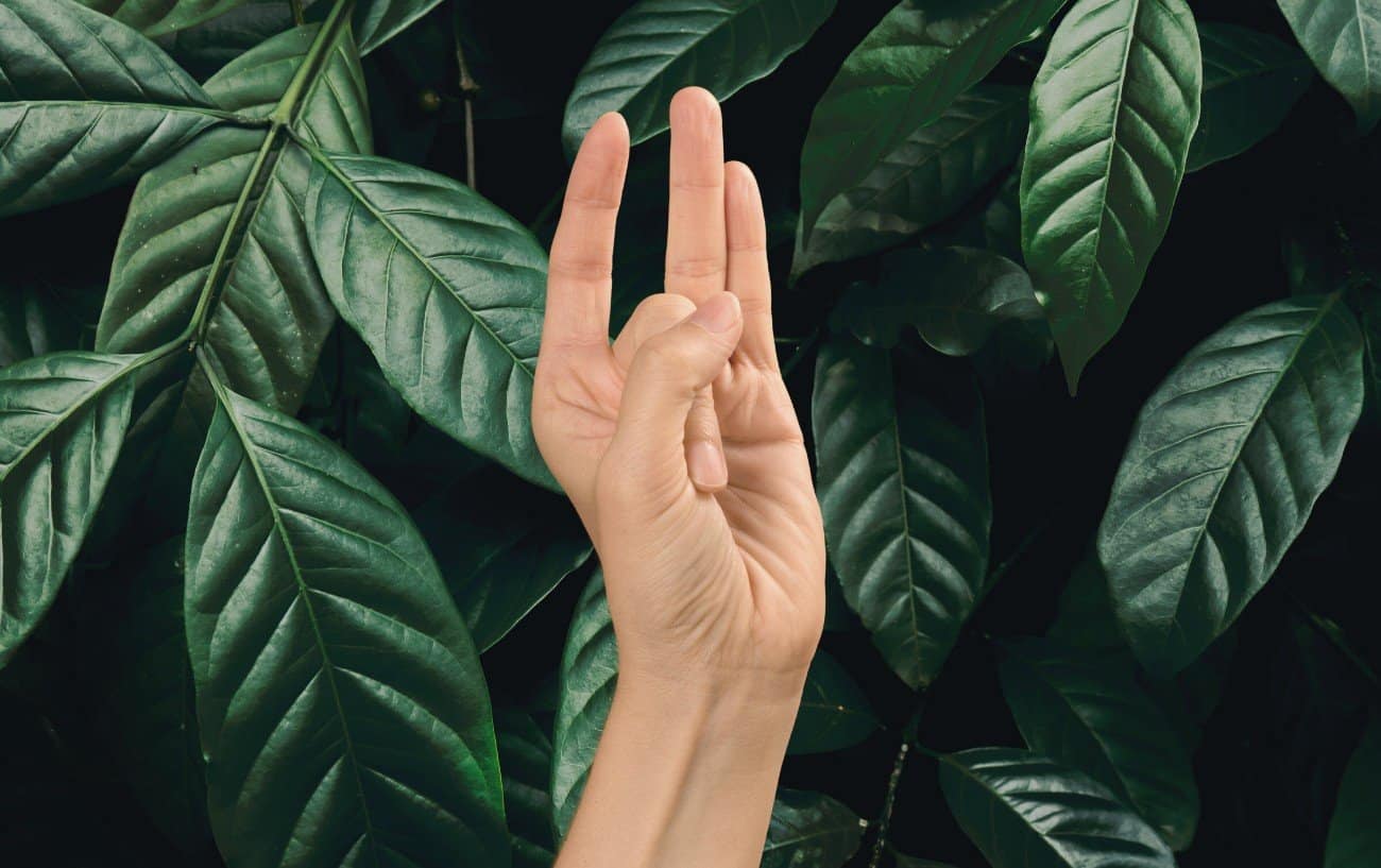 Meditation Mudras Guide + 8 Easy Hand Mudras