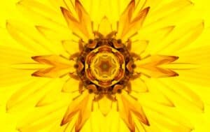 The 7 Chakra Sounds Explained: Seed Mantras & How To Use Them