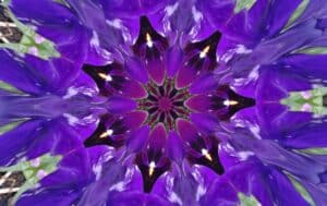 The 7 Chakra Sounds Explained & How To Use Them