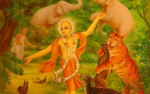 Who Is Chaitanya? The Ecstatic Saint Of Devotional Yoga