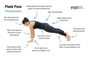 Sun Salutation Poses: Each Step Illustrated & Explained