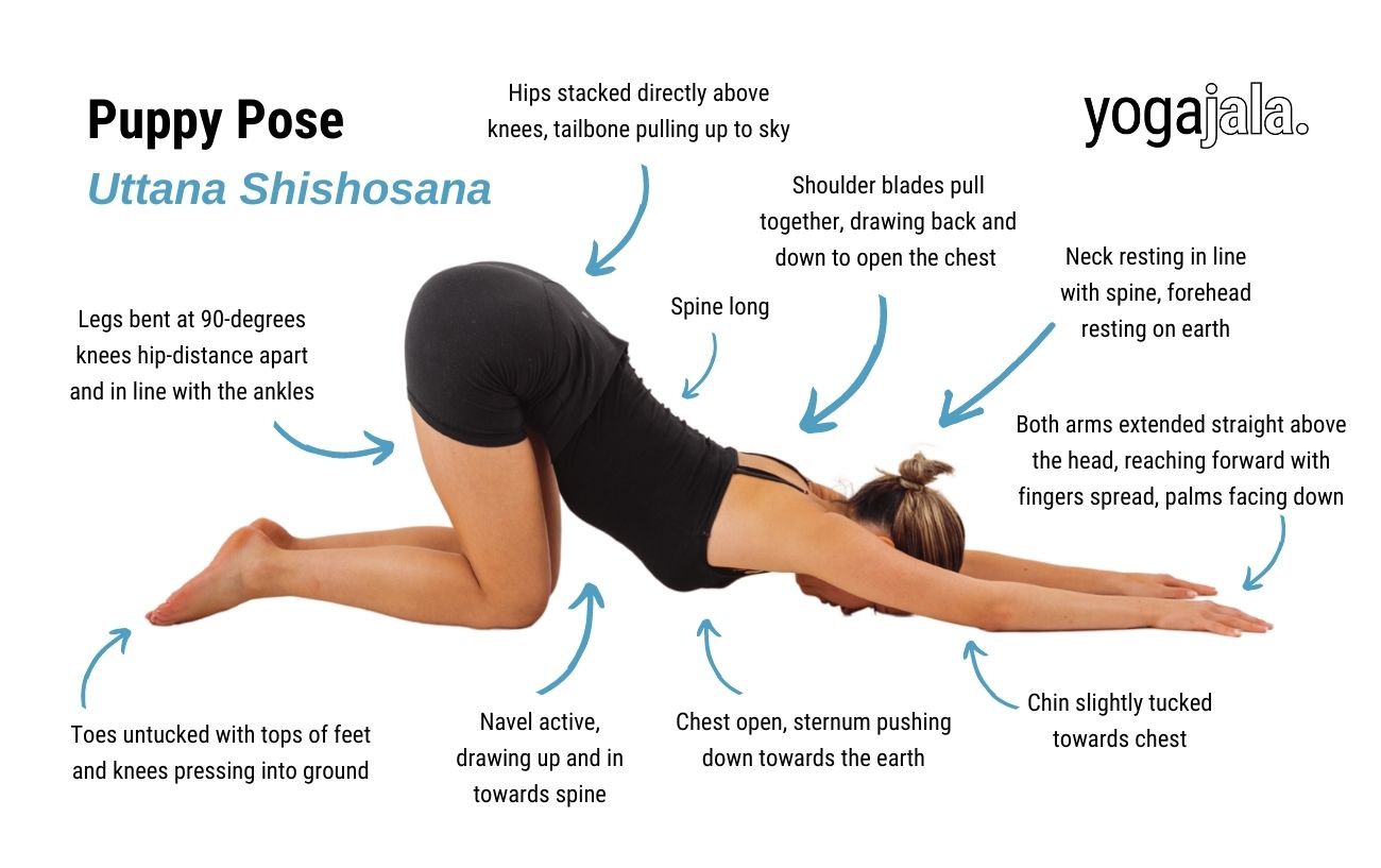 Extended Puppy Pose Uttana Shishosana Heart Melting Stretch Extended Puppy Pose Uttana Shishosana Heart Melting Stretch