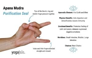 Apana Mudra