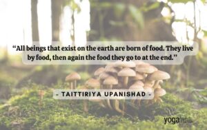 28 Upanishad Quotes For Spiritual Awareness & Growth