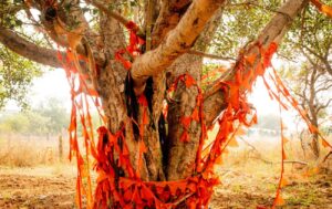 What Are Gandharvas? Celestial Musicians In Hindu Mythology