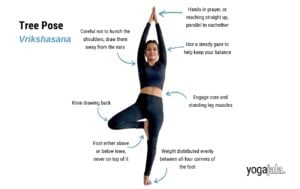 13 Fundamental Vinyasa Yoga Poses For A Moving Meditation